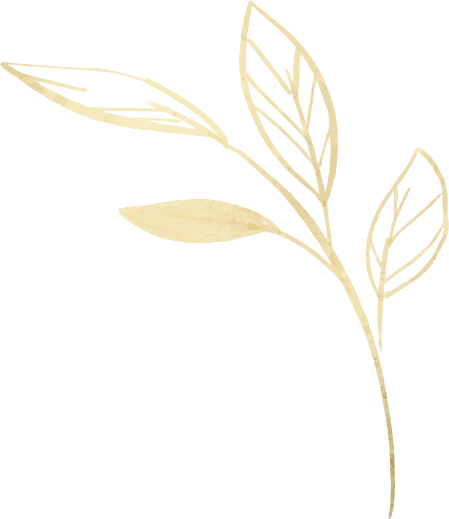 Custom Wedding Websites – 303 Creative